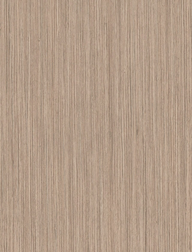 LAMINADO PLÁSTICO MERINO – 10879 SILVER OAK STK – Pajaro Carpintero