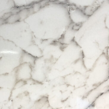 BTE – Pajaro Carpintero