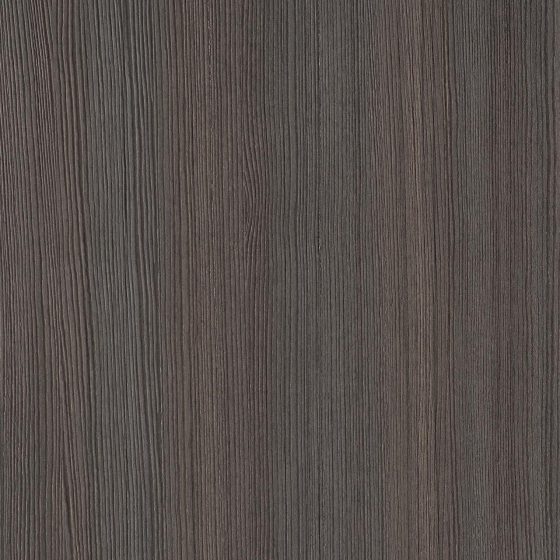 Cleaf – Pajaro Carpintero