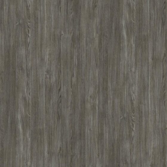 18 mm – Pajaro Carpintero