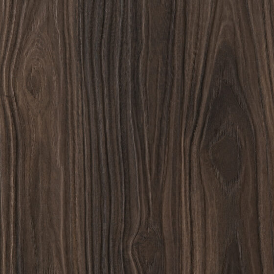 ARAUCO MELAMINA – MONARCA – Pajaro Carpintero