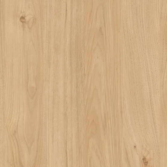 ARAUCO MELAMINA – MONARCA – Pajaro Carpintero