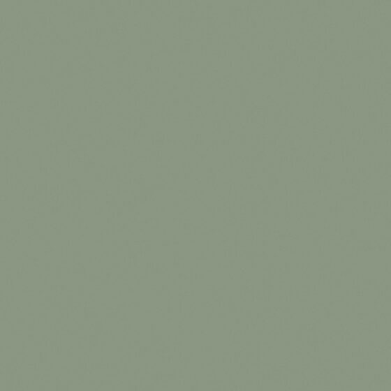 ARAUCO MELAMINA – ROBLE MERIDA – Pajaro Carpintero